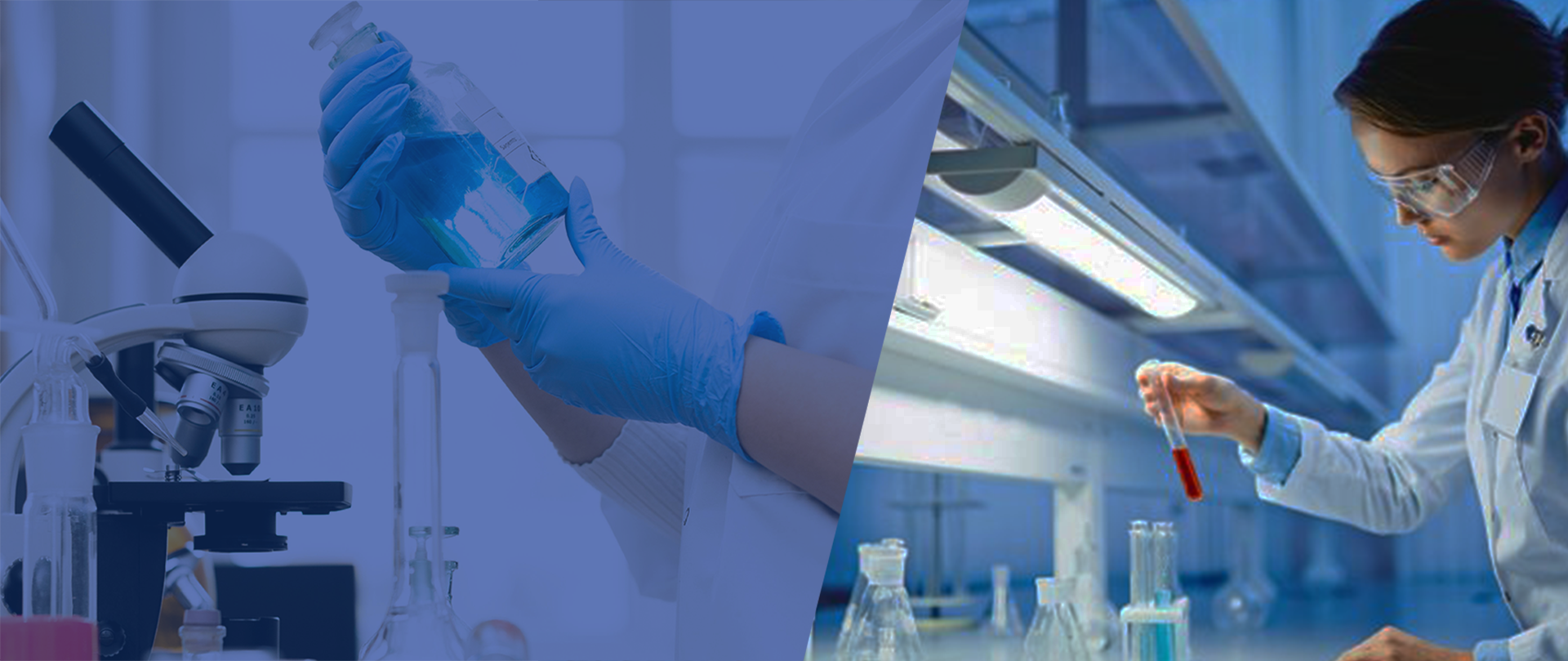 Paradigm Infotech, Inc – Global IT solutions provider focused on ...